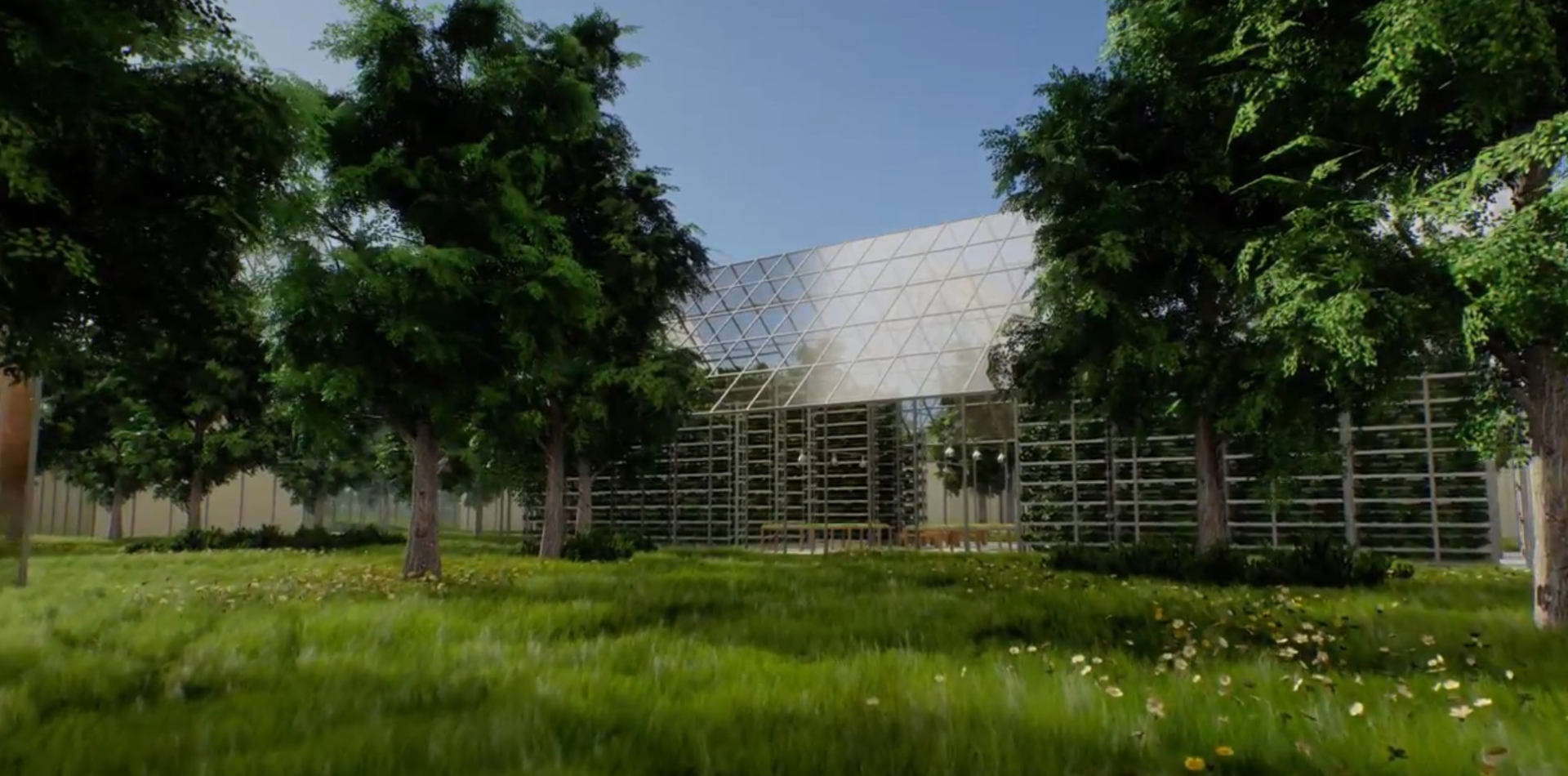 Creators – Mira World