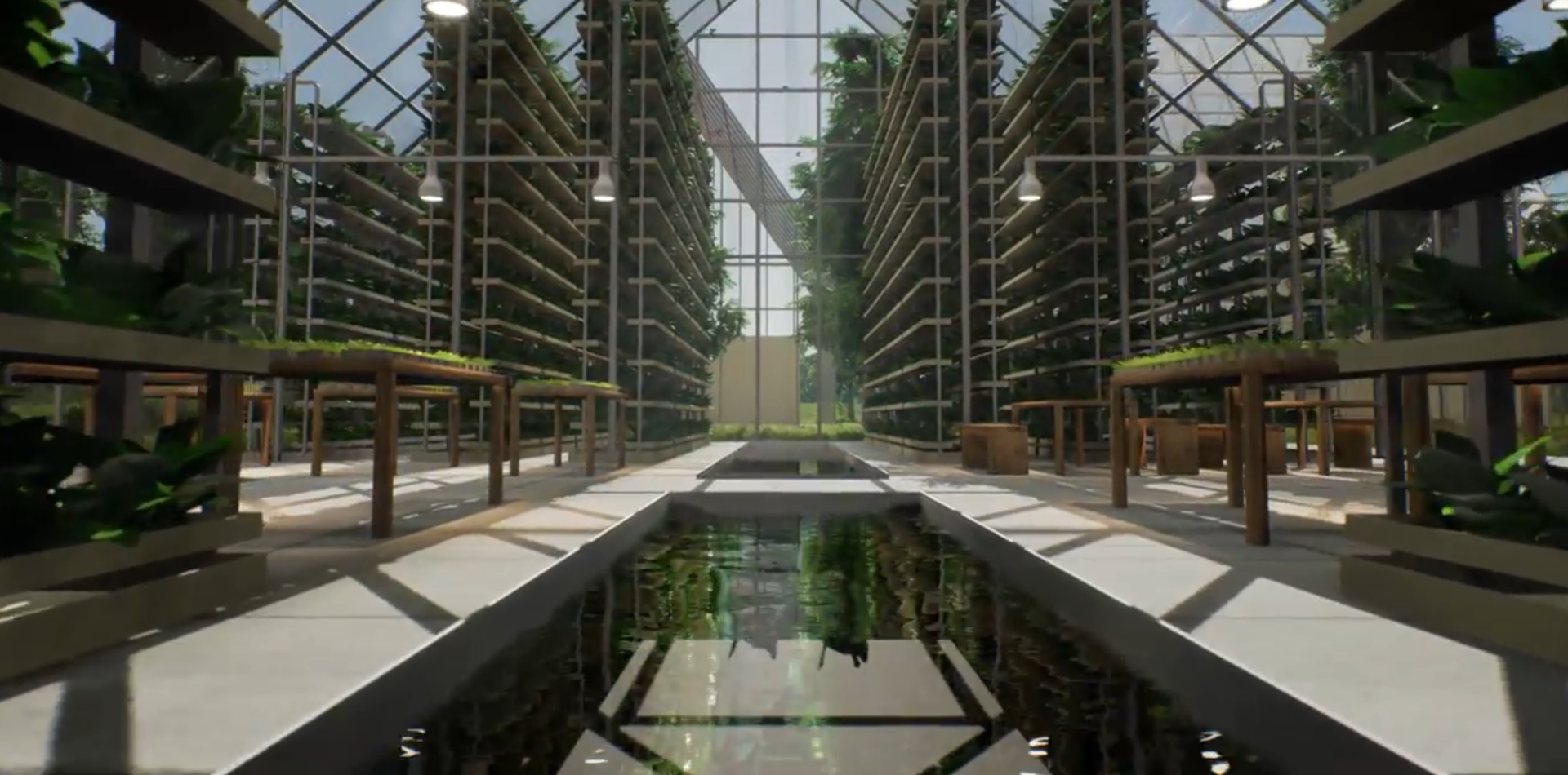 Creators – Mira World