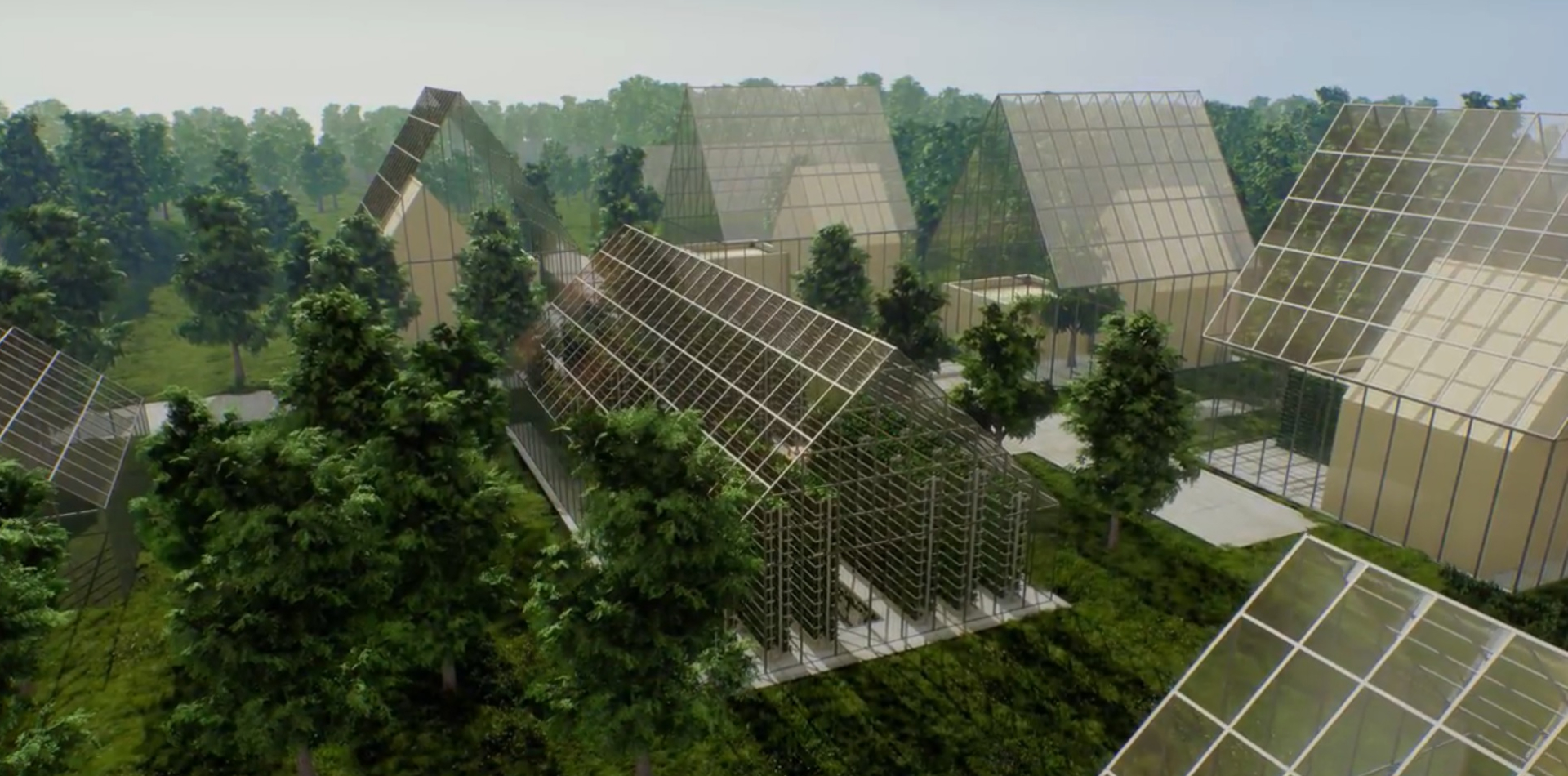 Creators – Mira World